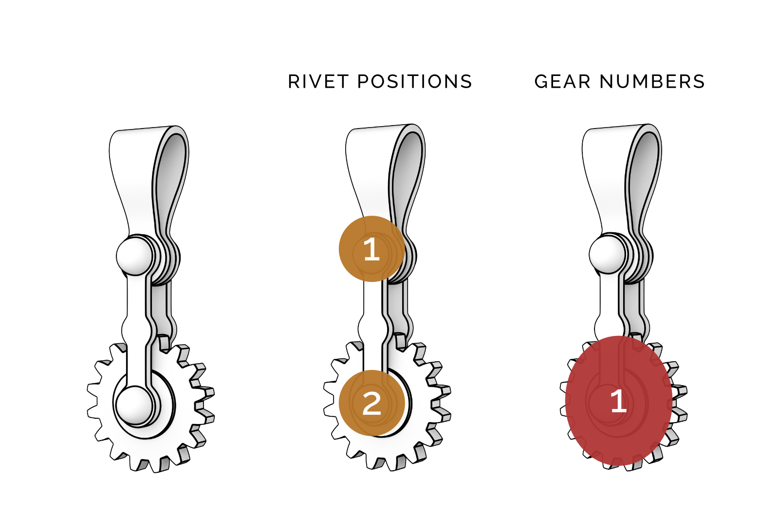 Fibonacci Shell | Mini Pendant – Armét Canada